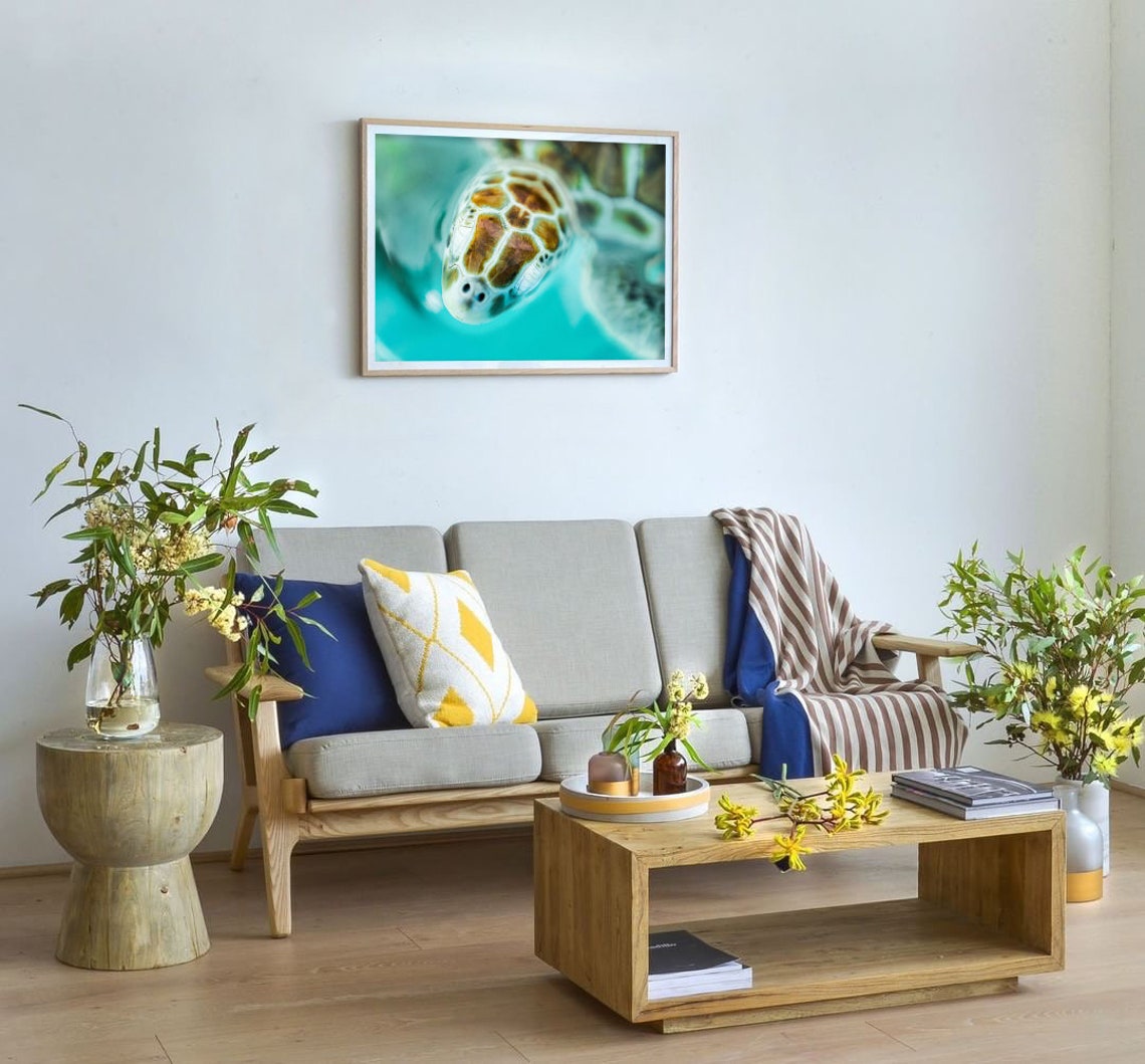 Sea Turtle Print Green Sea Turtle Poster Marine Turtle Teal - Etsy