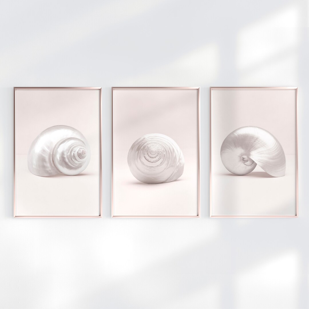 Set of 3 Seashells Prints, High Quality Shell Poster, Coastal Decor ...