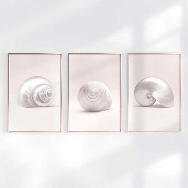 Pink Seashells - Etsy