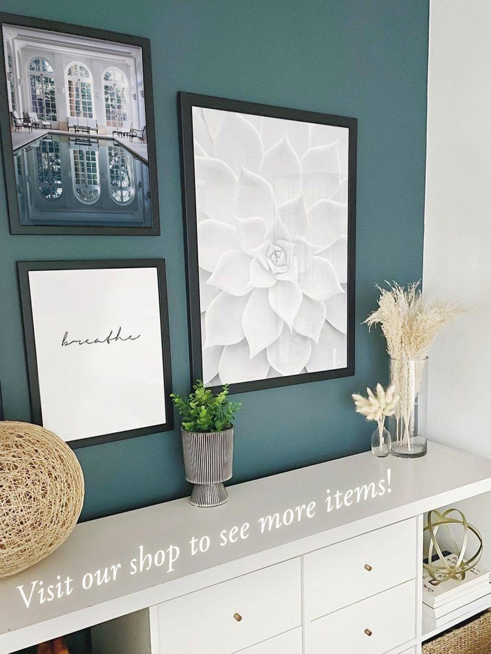 White Succulent Poster White Texture Print White Cactus Art - Etsy