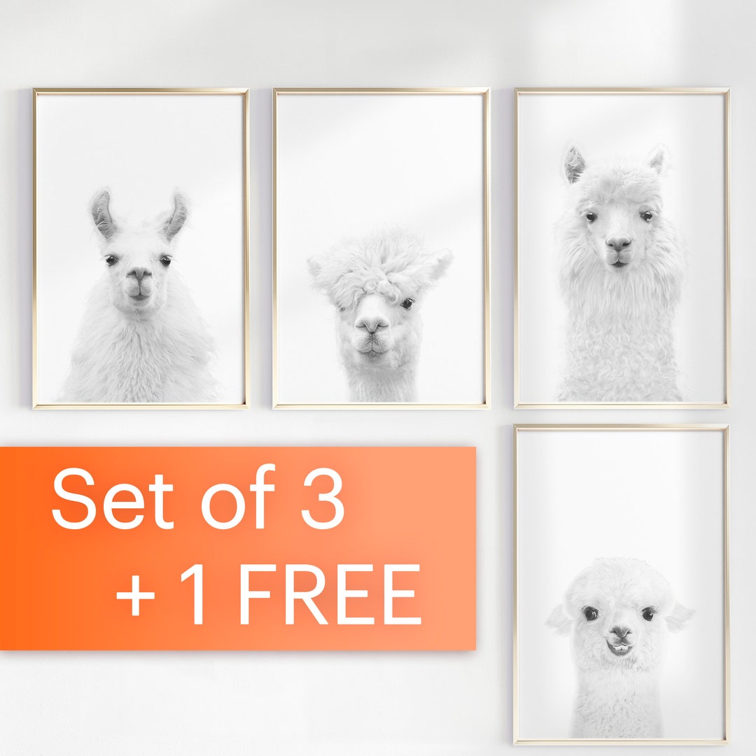 Set of 3 Llama Prints, High Quality Boho Nursery Decor, Alpaca Print ...