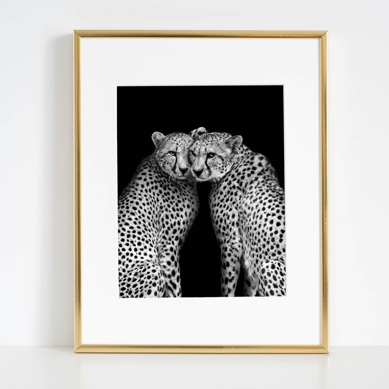 Cheetah Couple Print, 2 Cheetah Poster, Feline Wall Art, African ...