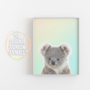 Set of 6 Australian Baby Animals Prints, Rainbow Aussie Cubs Nursery ...