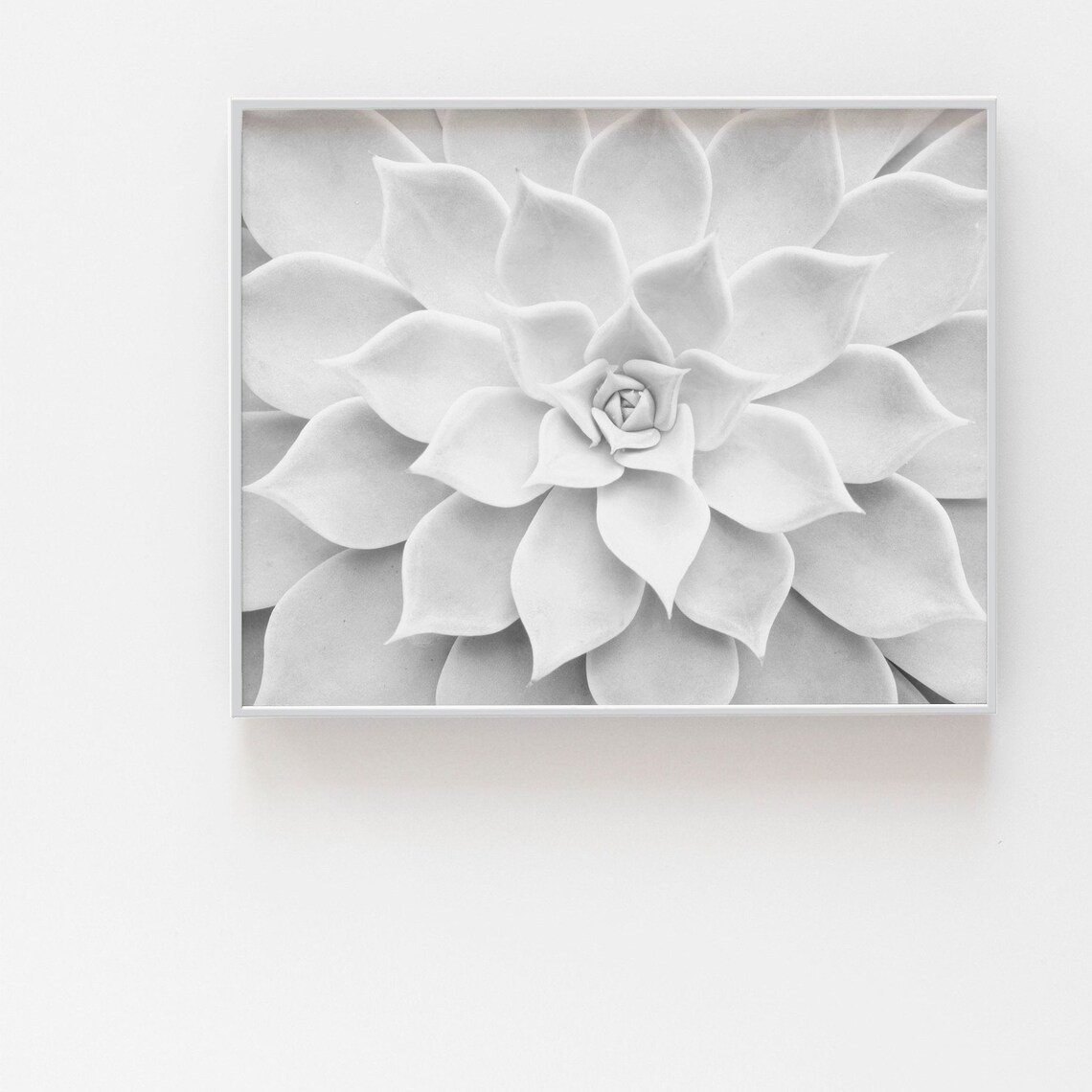 White Succulent Poster White Texture Print White Cactus Art - Etsy