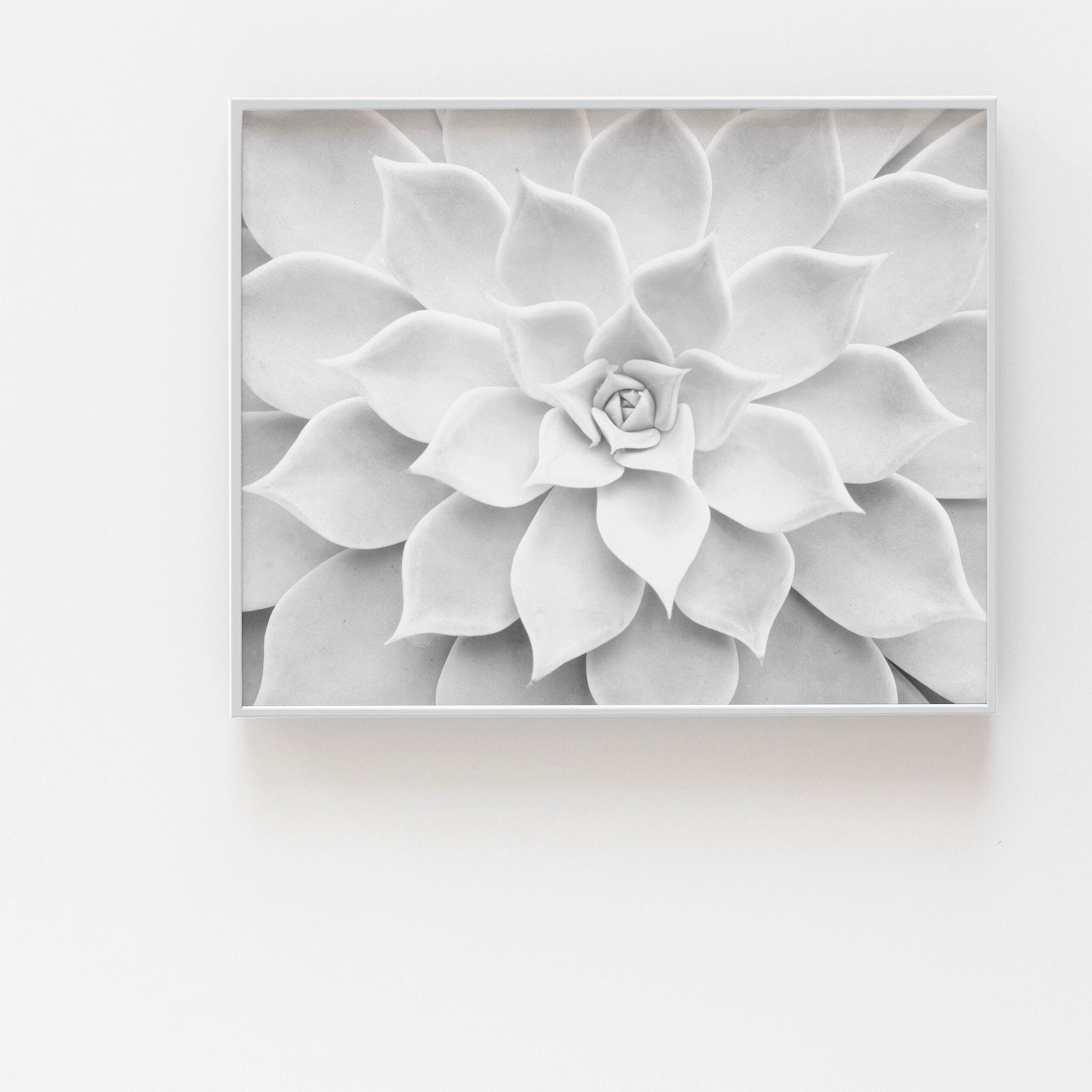 White Succulent Poster, White Texture Print, White Cactus Art, White ...