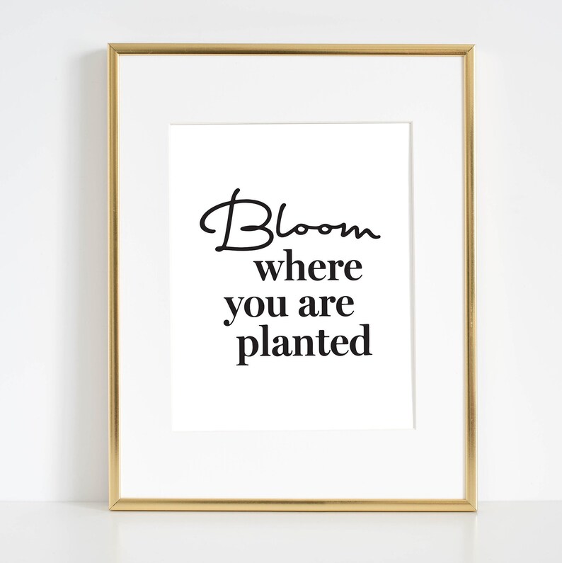 Bloom Where You Are Planted Print Bloom Quote Poster Live in - Etsy
