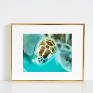 Sea Turtle Print, Green Sea Turtle Poster, Marine Turtle, Teal Turtle, Pop Art, Turquoise Ombre ...