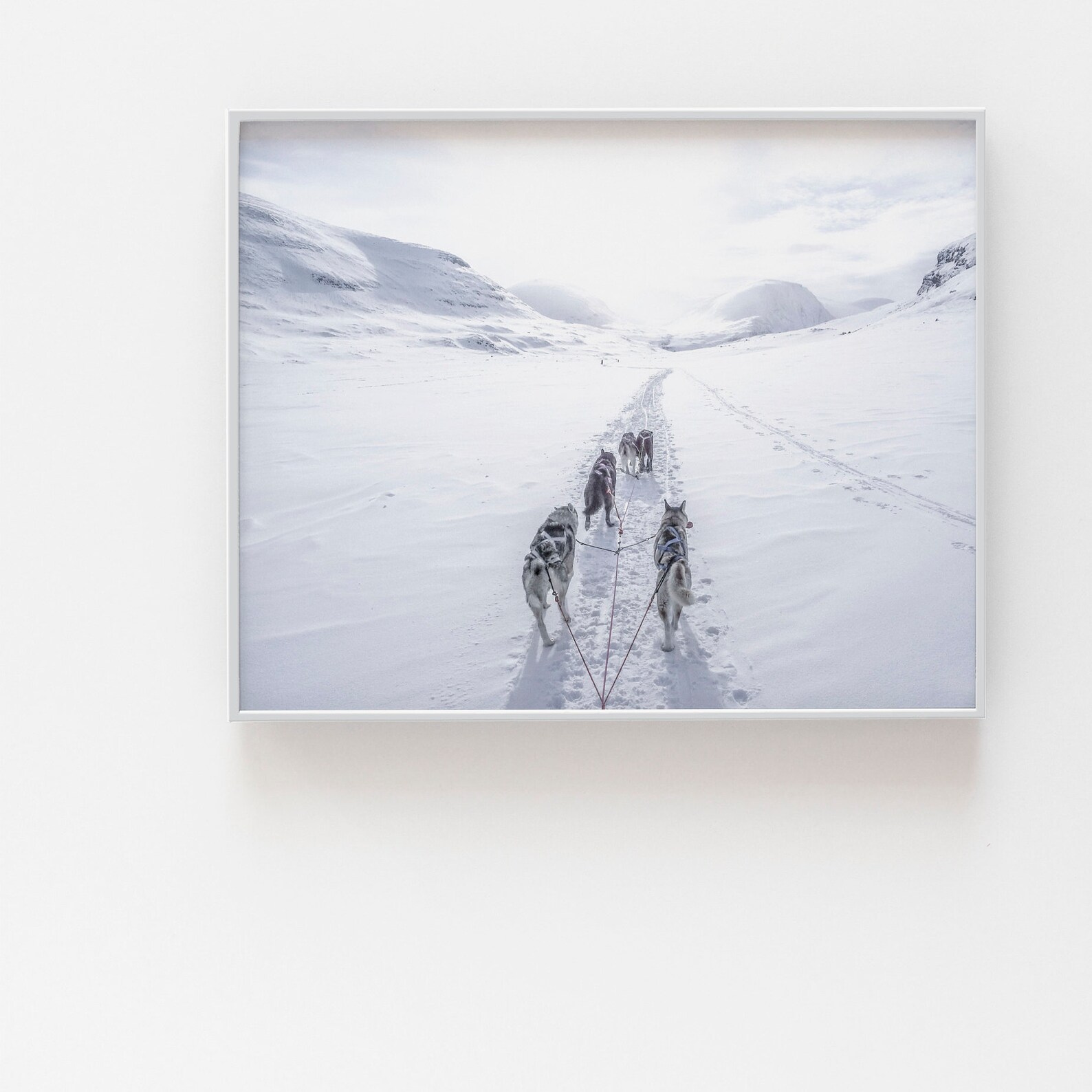 Sled Dogs Print Dog Sled Poster Winter Art Winter Travel - Etsy