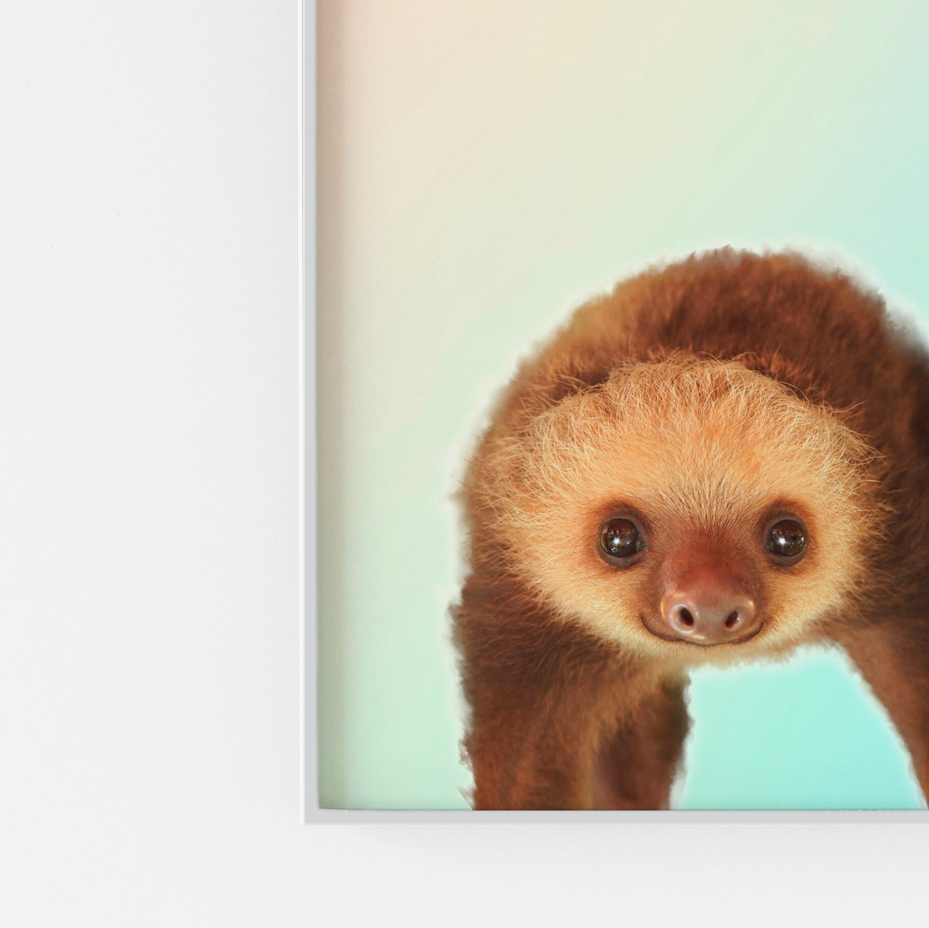 Baby Sloth Poster Cute Sloth Print Pastel Sloth Gift Fluffy | Etsy