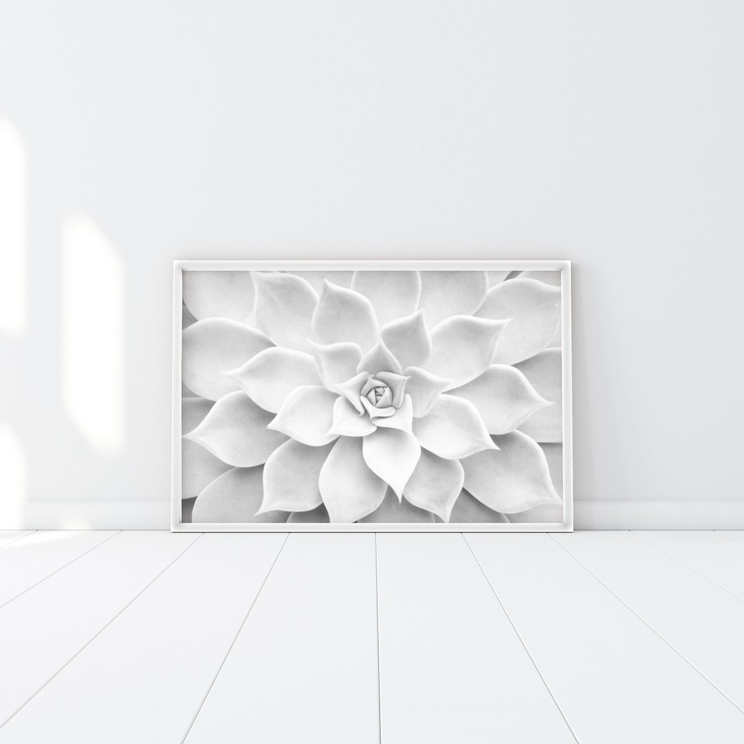 White Succulent Poster, White Texture Print, White Cactus Art, White ...
