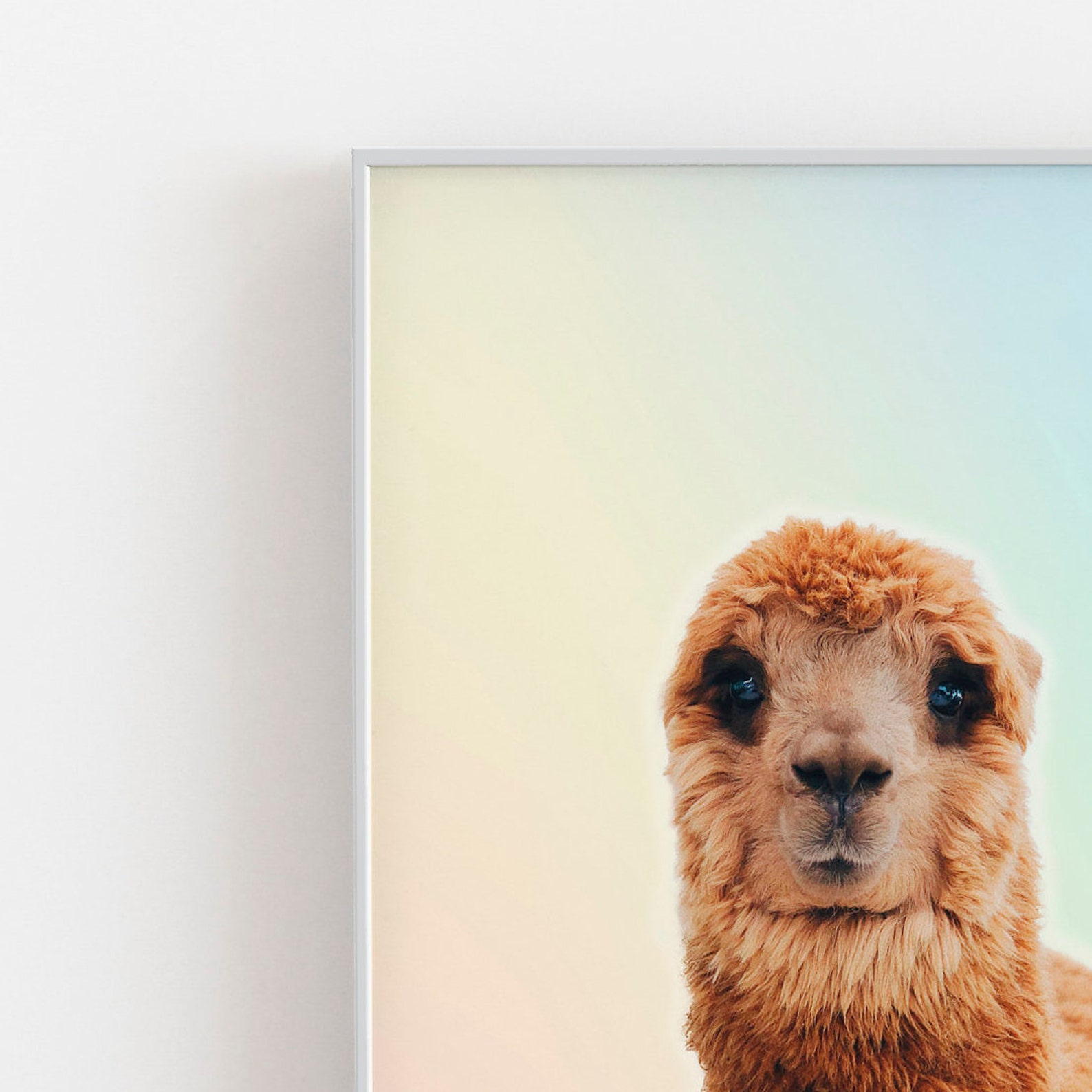 Llama Gift Cute Alpaca Print Ginger Camel poster Fluffy | Etsy