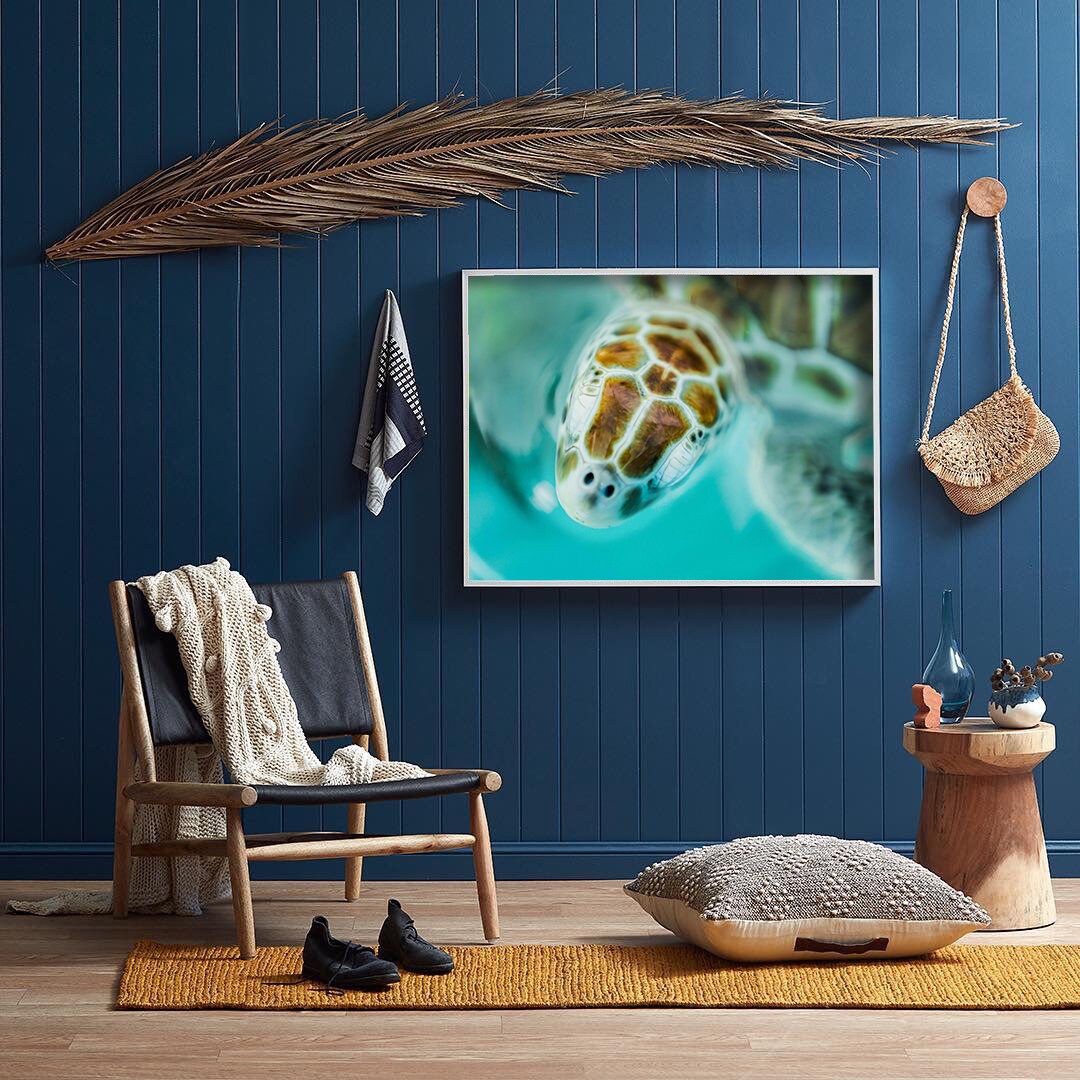 Sea Turtle Print Green Sea Turtle poster Marine Turtle Teal | Etsy