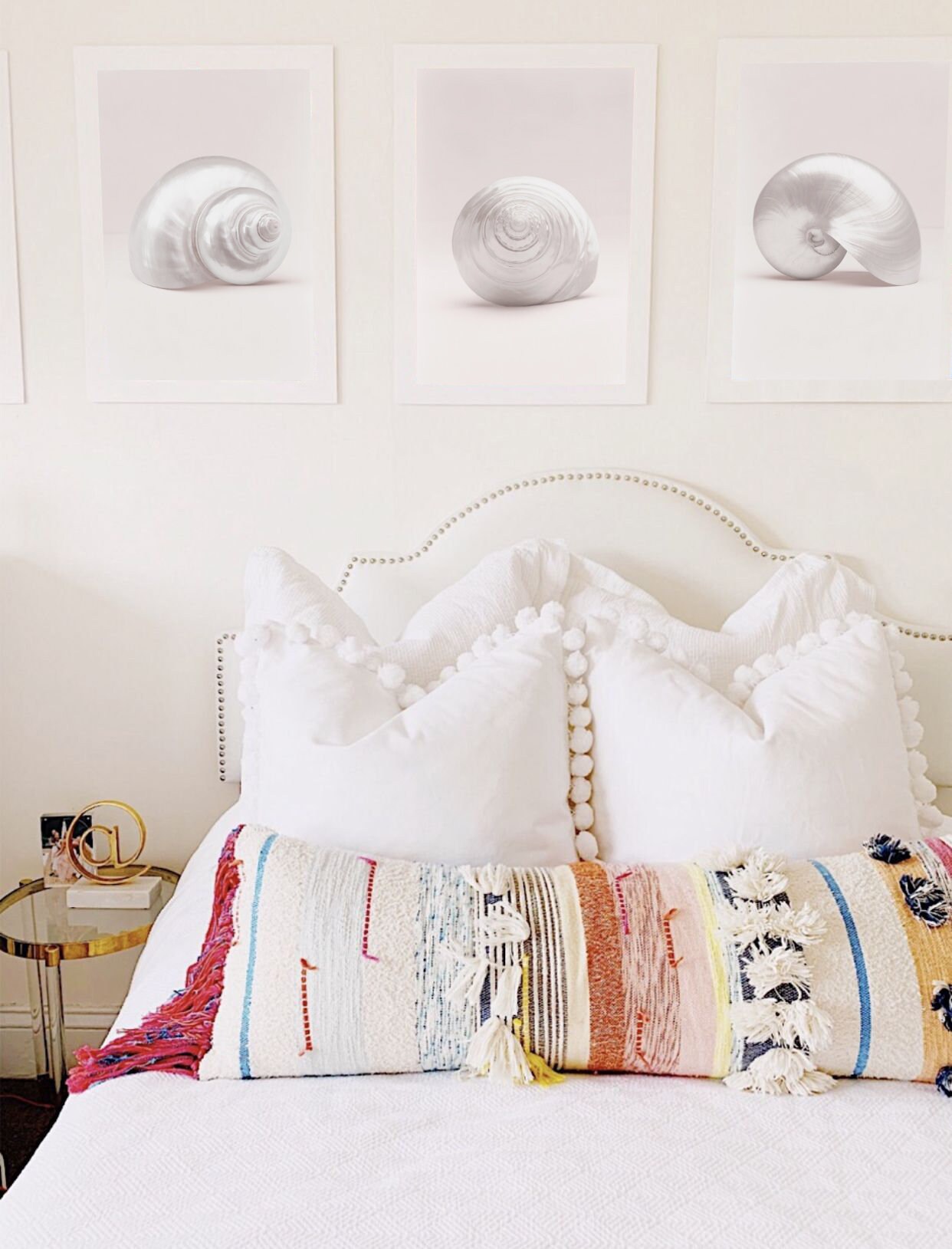 Set of 3 Seashells Prints, High Quality Shell Poster, Coastal Decor ...