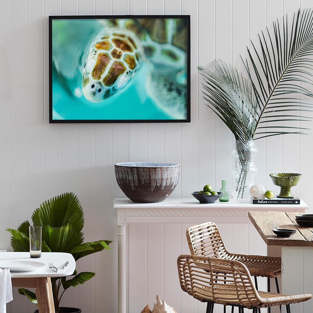 Sea Turtle Print Green Sea Turtle poster Marine Turtle Teal | Etsy