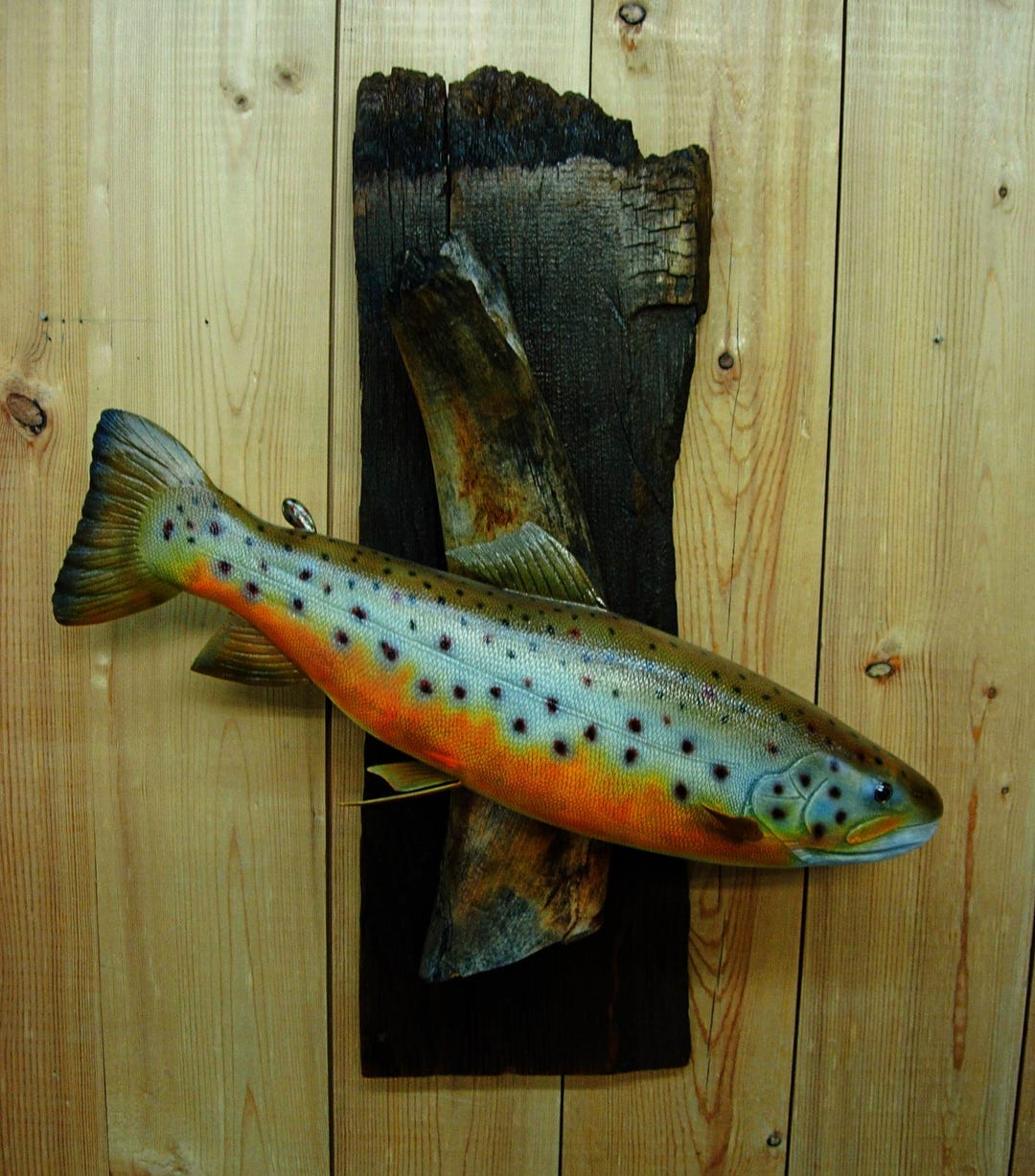 Handcrafted Brown Trout, Trout Mount, Trout Replica, Fly Fishing Gift ...