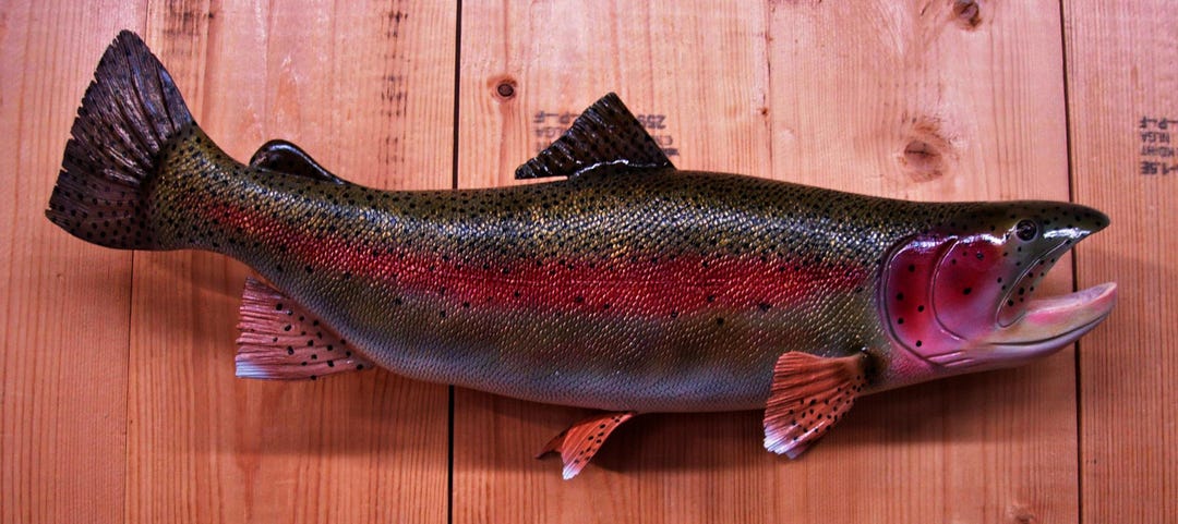 Handcrafted Rainbow Trout, Cabin Decor, Sculpture, Fishing Gift, Fish ...