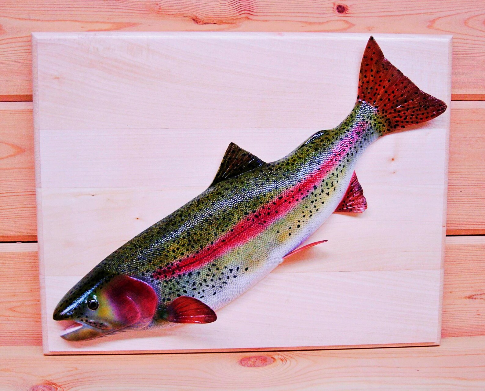 Rainbow Trout Replica, Wildlife Art, Fishing Art, Fly Fishing Sculpture ...