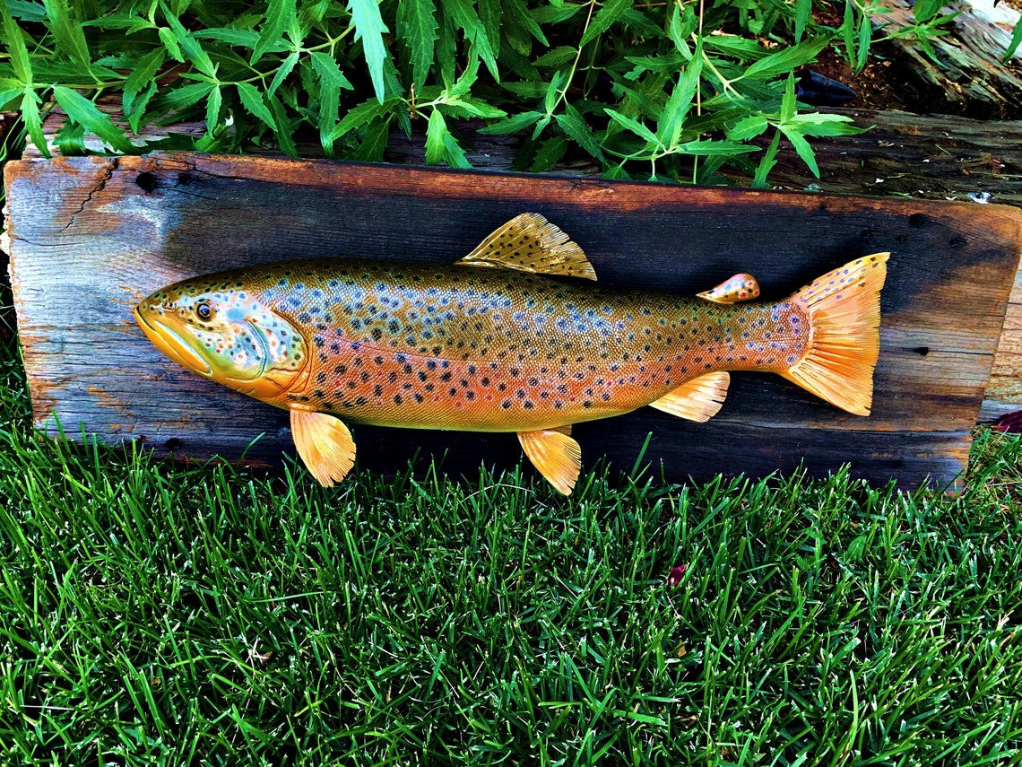 Brown Trout Replica, Fishing Art, Fly Fishing, Sculpture, Trout Art ...