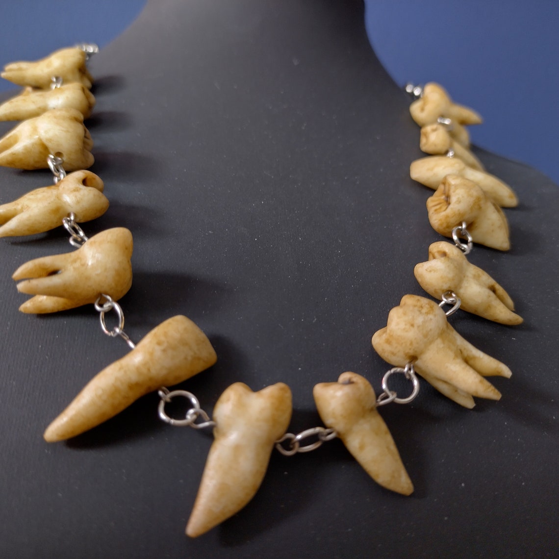 Aged Human Teeth Necklace on Silver (look) Chain - Etsy