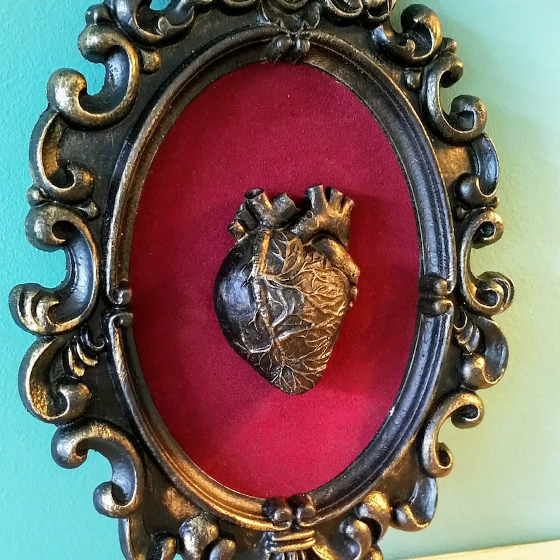 Framed Human Heart - Anatomical Human Heart Oddity - 3D Gothic Wall Art ...