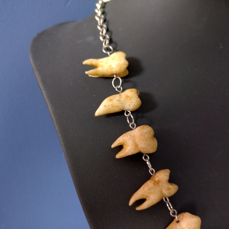 Aged Human Teeth Necklace on Silver (look) Chain - Etsy