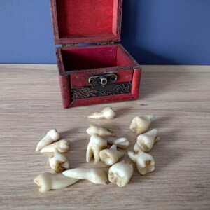 Aged Human Teeth in a Box - Curiosities - Weird Creepy Stuff - Etsy