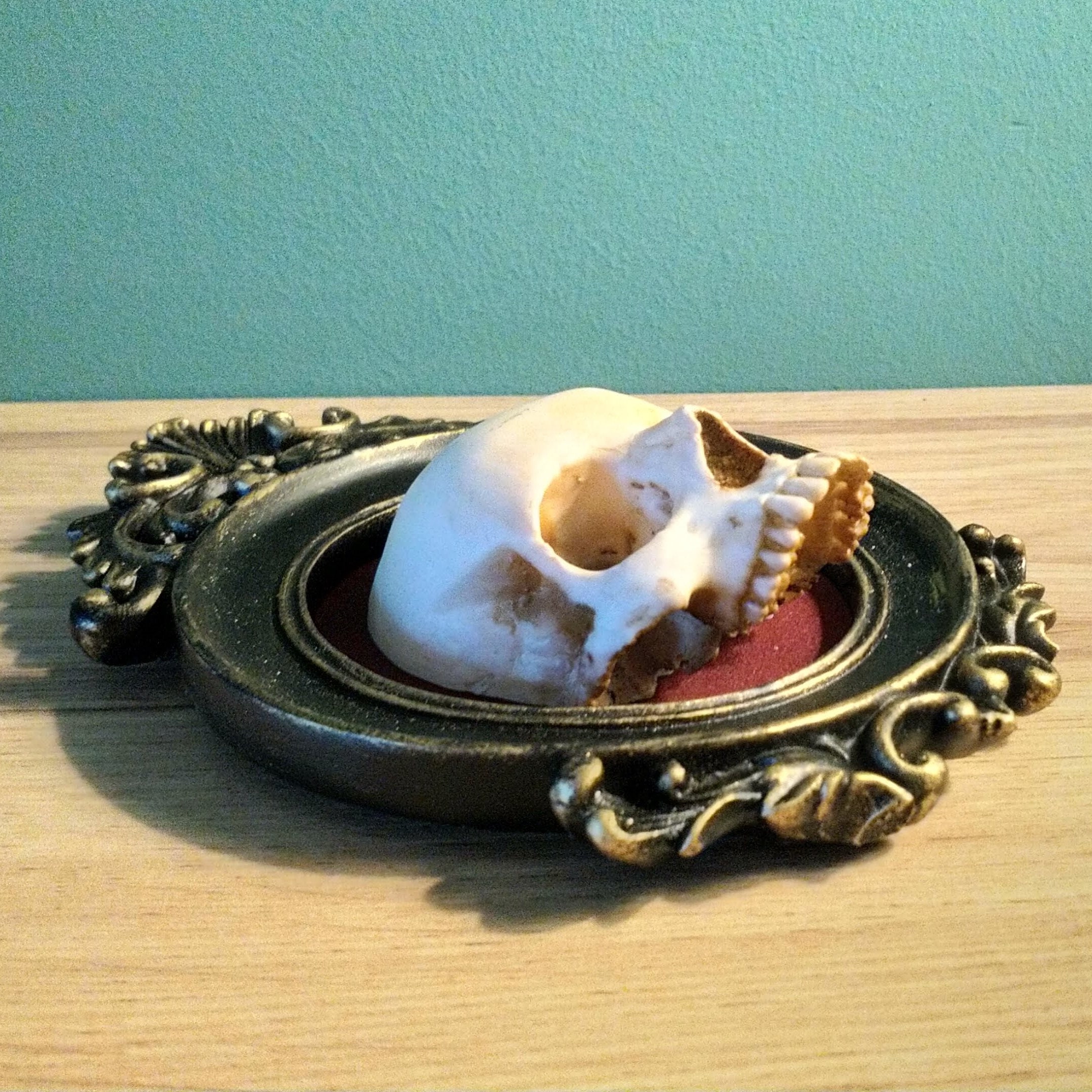 Cute Little Framed Human Skull Home Decor - Etsy