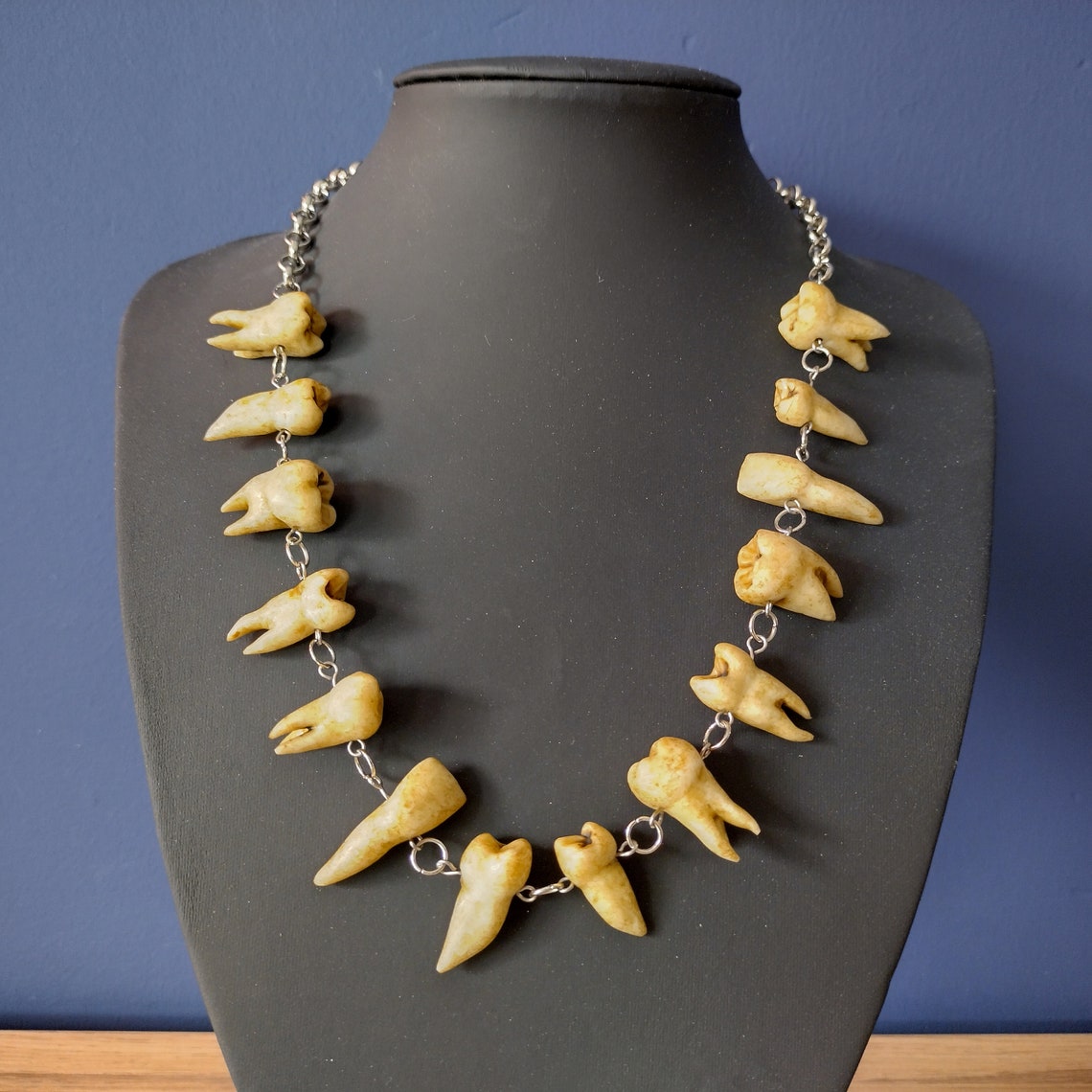 Aged Human Teeth Necklace on Silver (look) Chain - Etsy