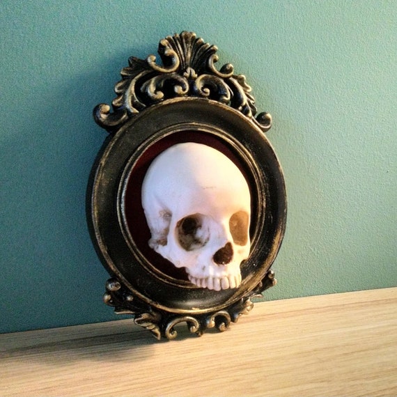 Cute Little Framed Human Skull Home Decor - Etsy