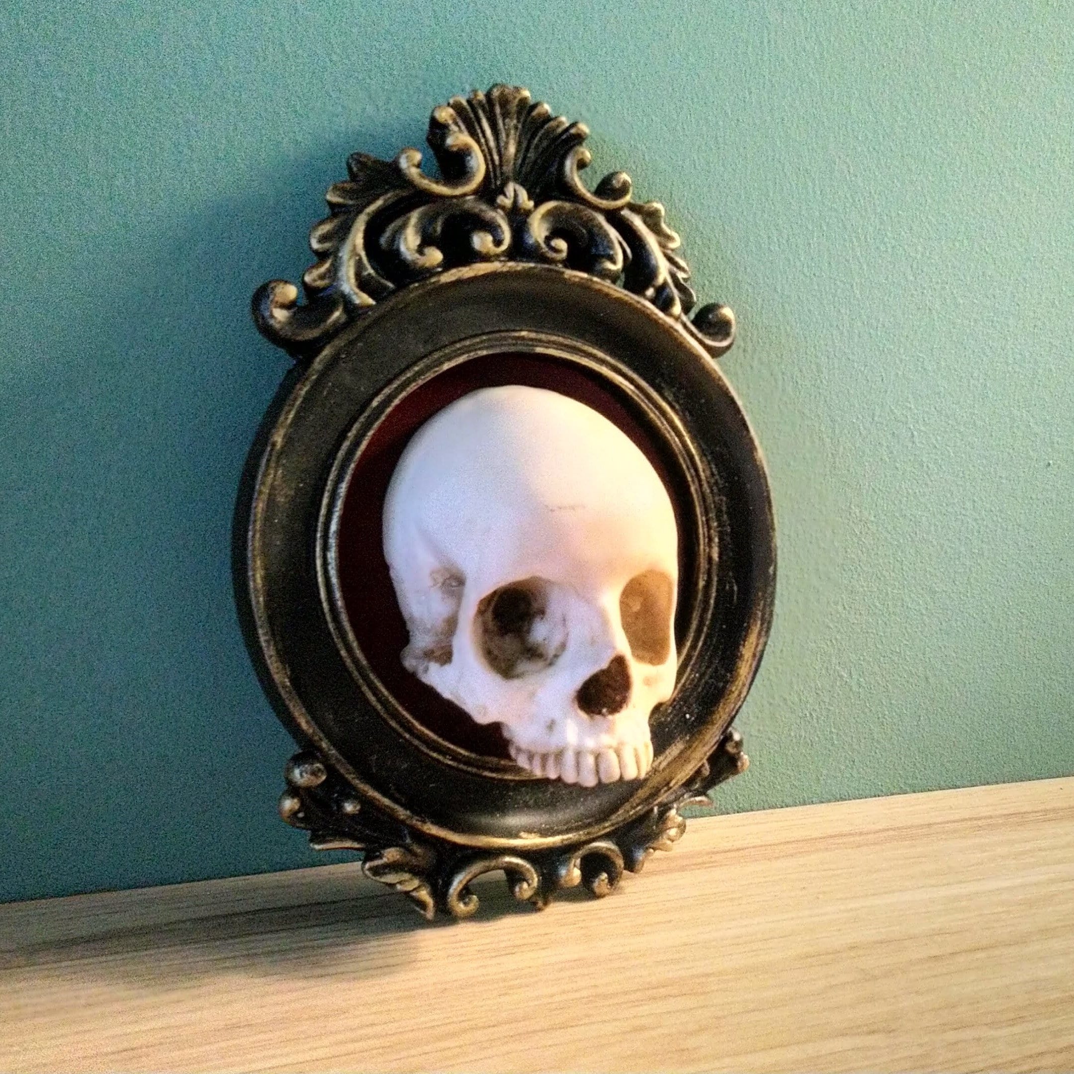 Cute Little Framed Human Skull Home Decor - Etsy