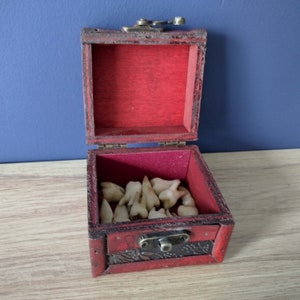 Aged Human Teeth in a Box - Curiosities - Weird Creepy Stuff - Etsy