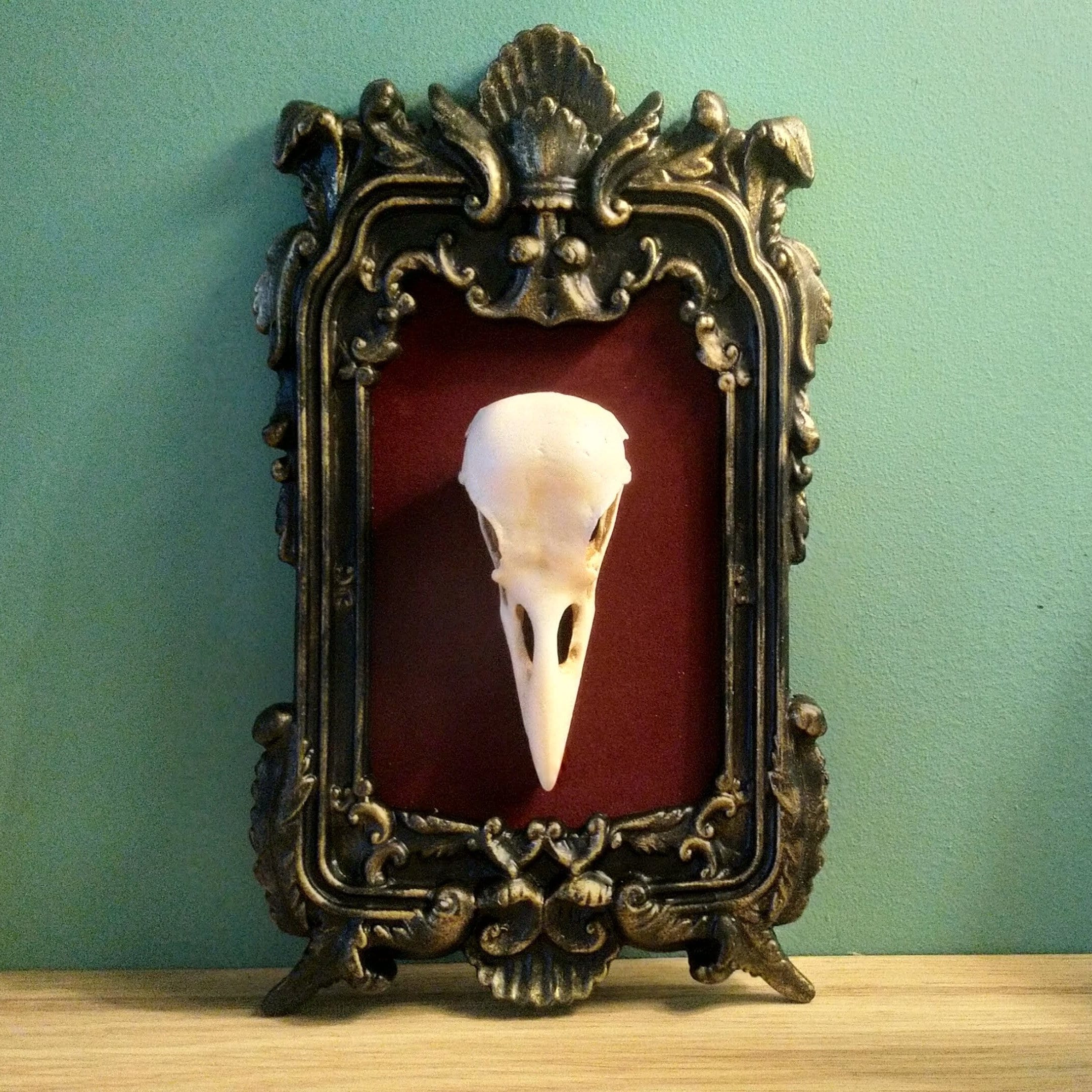 Framed Realistic Ravenskull Raven Skull Oddity Resin Casted | Etsy