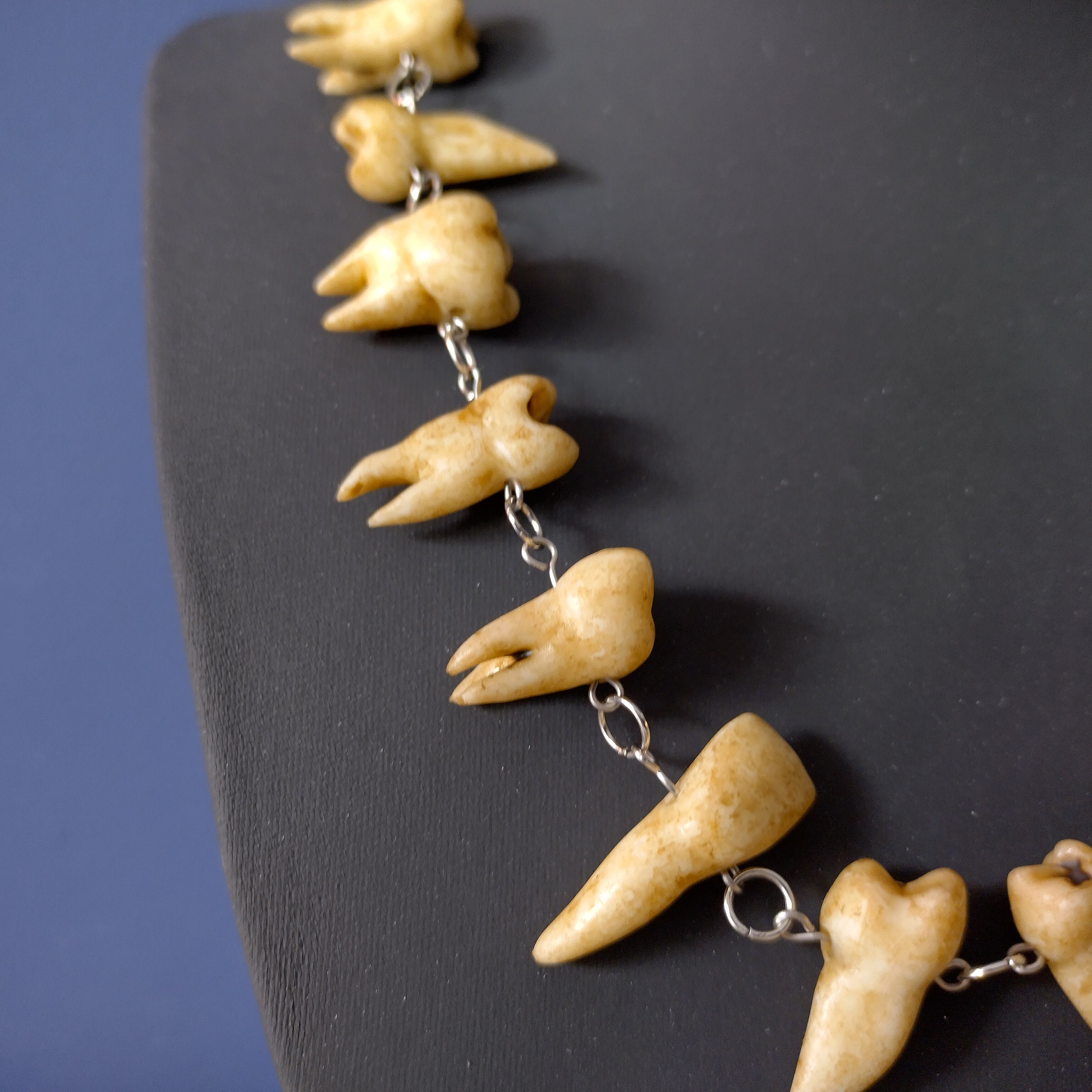 Aged Human Teeth Necklace on Silver (look) Chain - Etsy