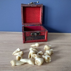Aged Human Teeth in a Box - Curiosities - Weird Creepy Stuff - Etsy