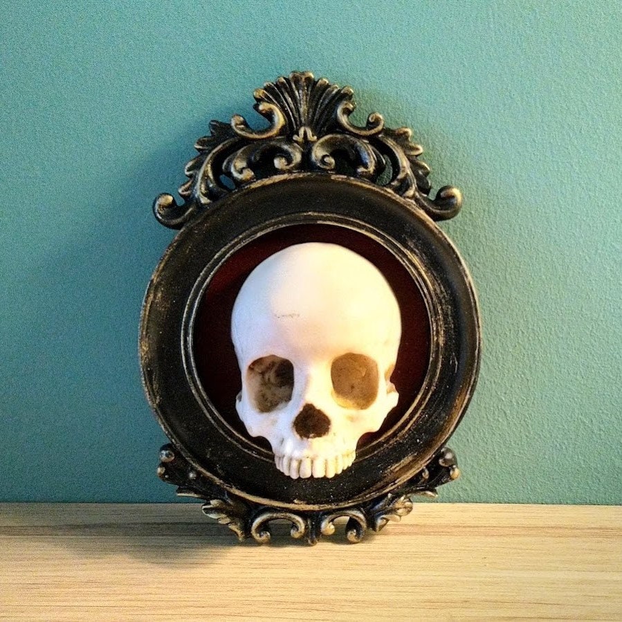 Cute Little Framed Human Skull Home Decor - Etsy