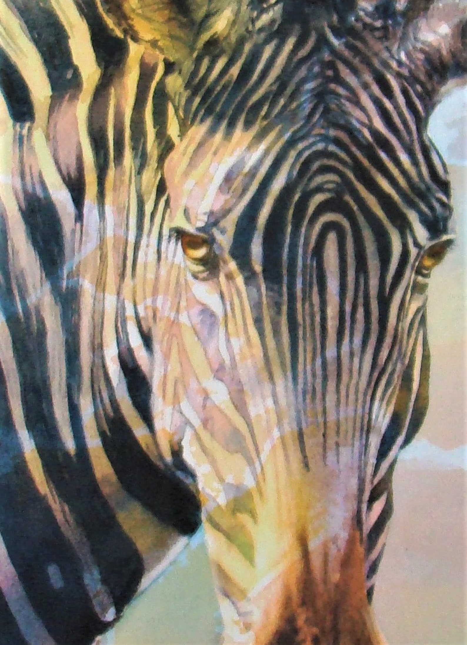 Zebra Watercolor Giclee Print: Colorful Animal Art by Susan Grogan - Etsy