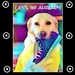 Dog Poster Labrador Poster Let's Go Already Colorful - Etsy