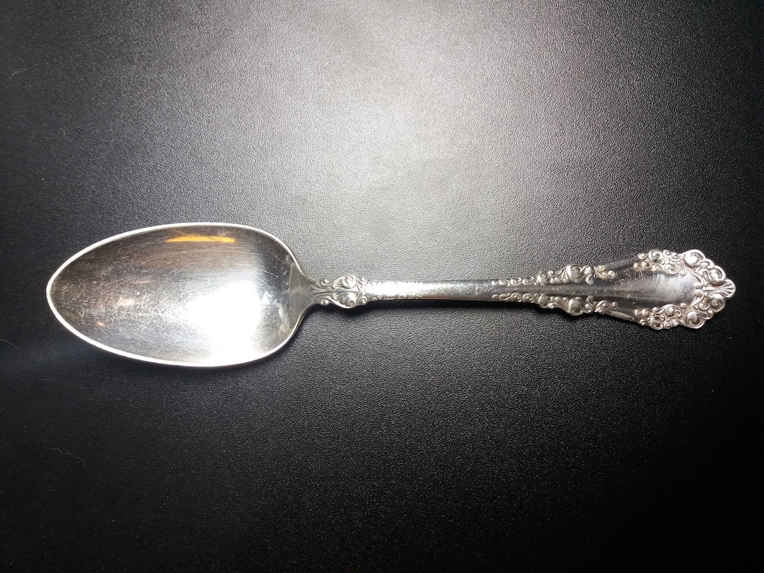 1047 Rogers Bros AI Silverplate Serving Spoon - Etsy