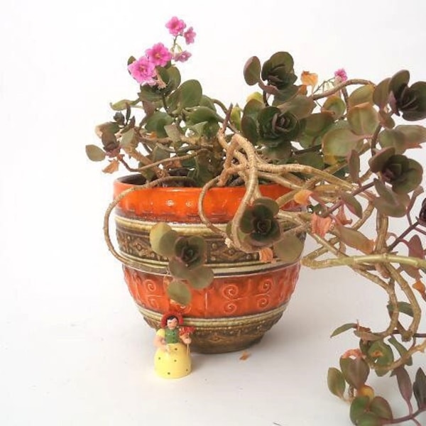 Fat Lava Plant Pot - Etsy
