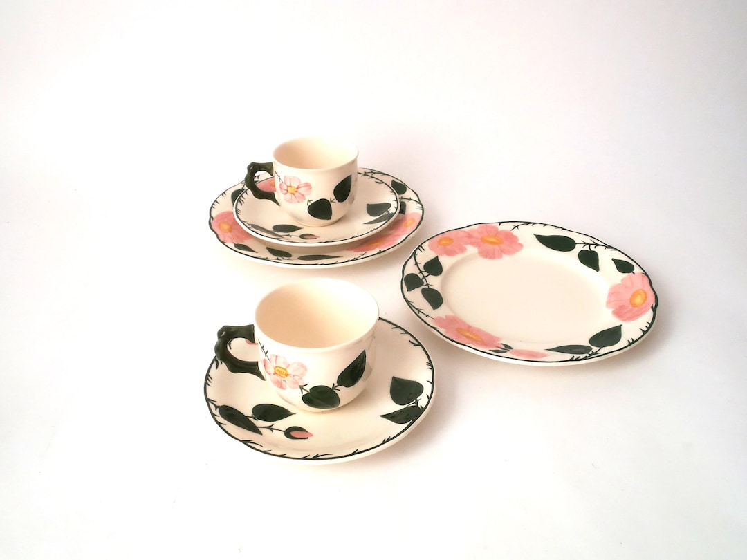 Vintage Villeroy & Boch Wild Rose Set of 2 or Set of 1 Plates, Cups ...