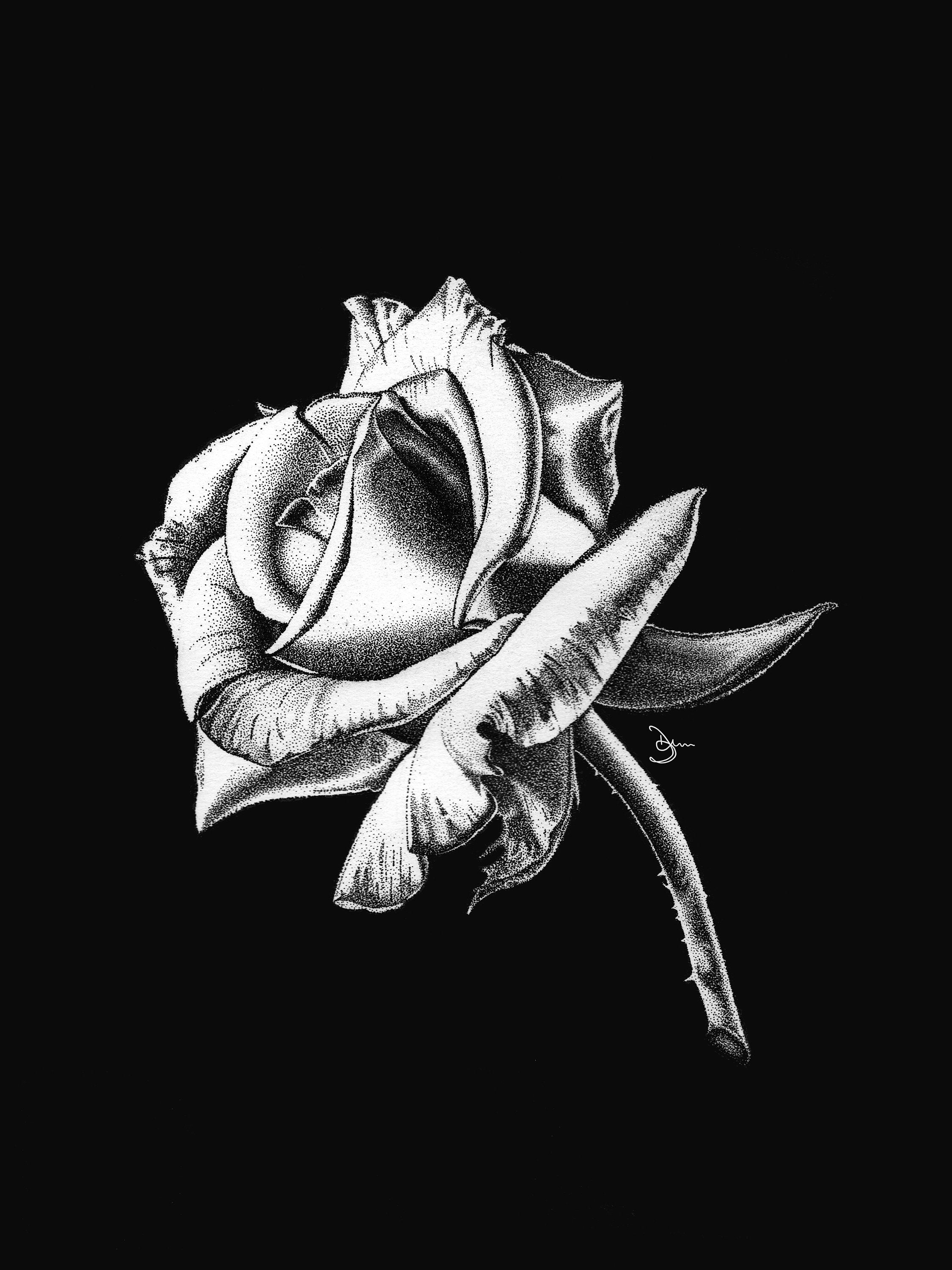 Rose Dotwork - Etsy