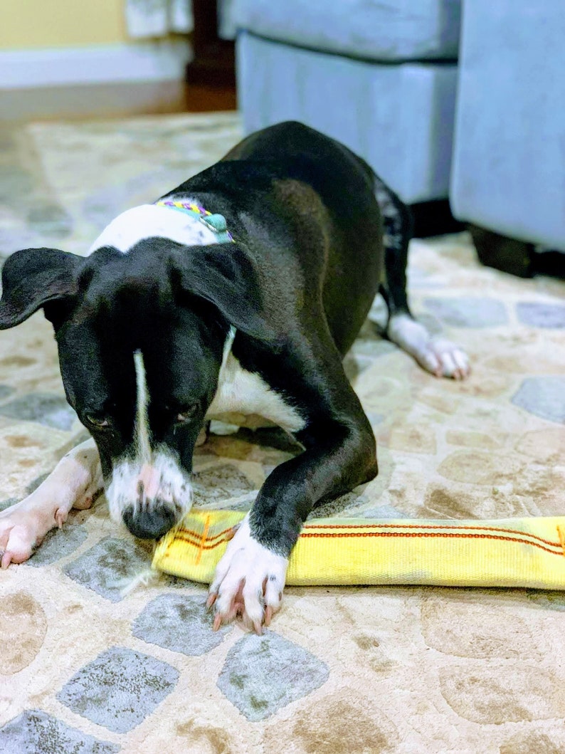 Squeak Squeak Dog Toy Sustainably Made Utilizing 100% Real | Etsy