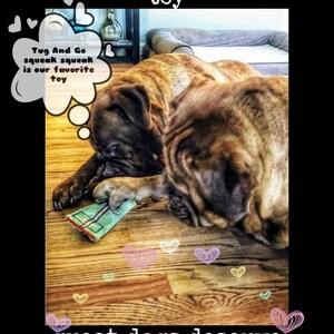 Squeak Squeak Dog Toy Sustainably Made Utilizing 100% Real | Etsy