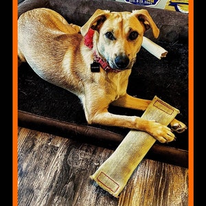 Squeak Squeak Dog Toy Sustainably Made Utilizing 100% Real | Etsy