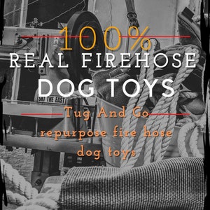 Squeak Squeak Dog Toy Sustainably Made Utilizing 100% Real | Etsy