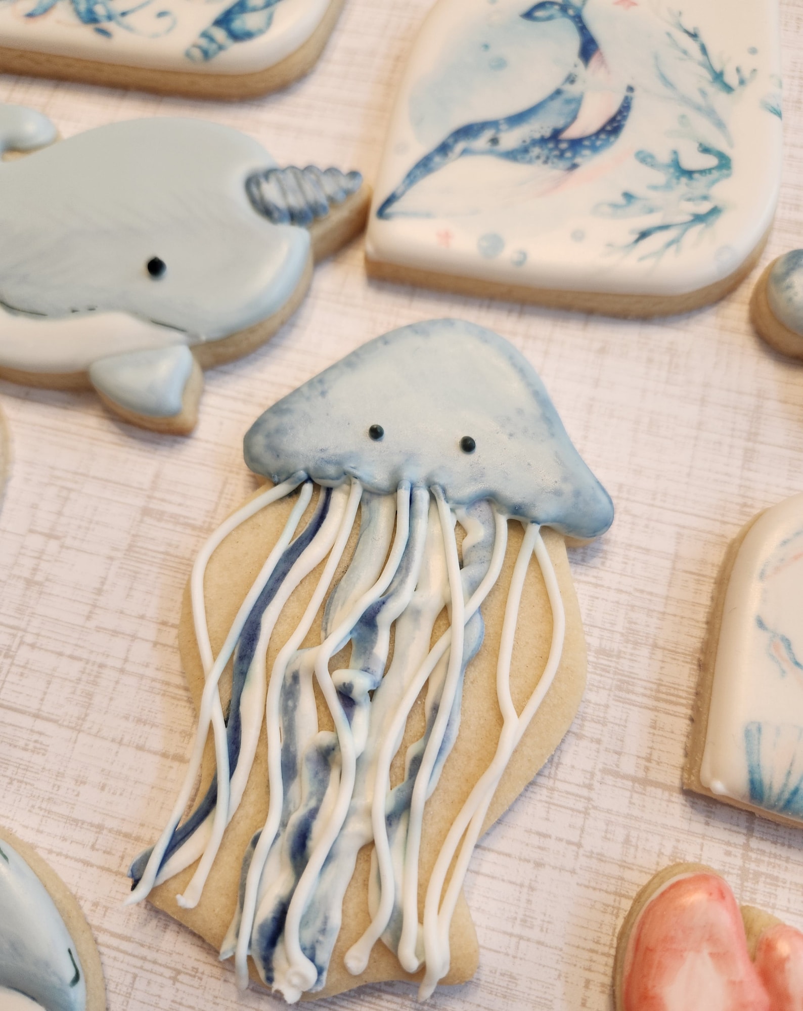 Under the Sea, Sealife, Marine Life, Sea Animals Cookie Set, Birthday ...