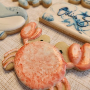 Under the Sea, Sealife, Marine Life, Sea Animals Cookie Set, Birthday ...