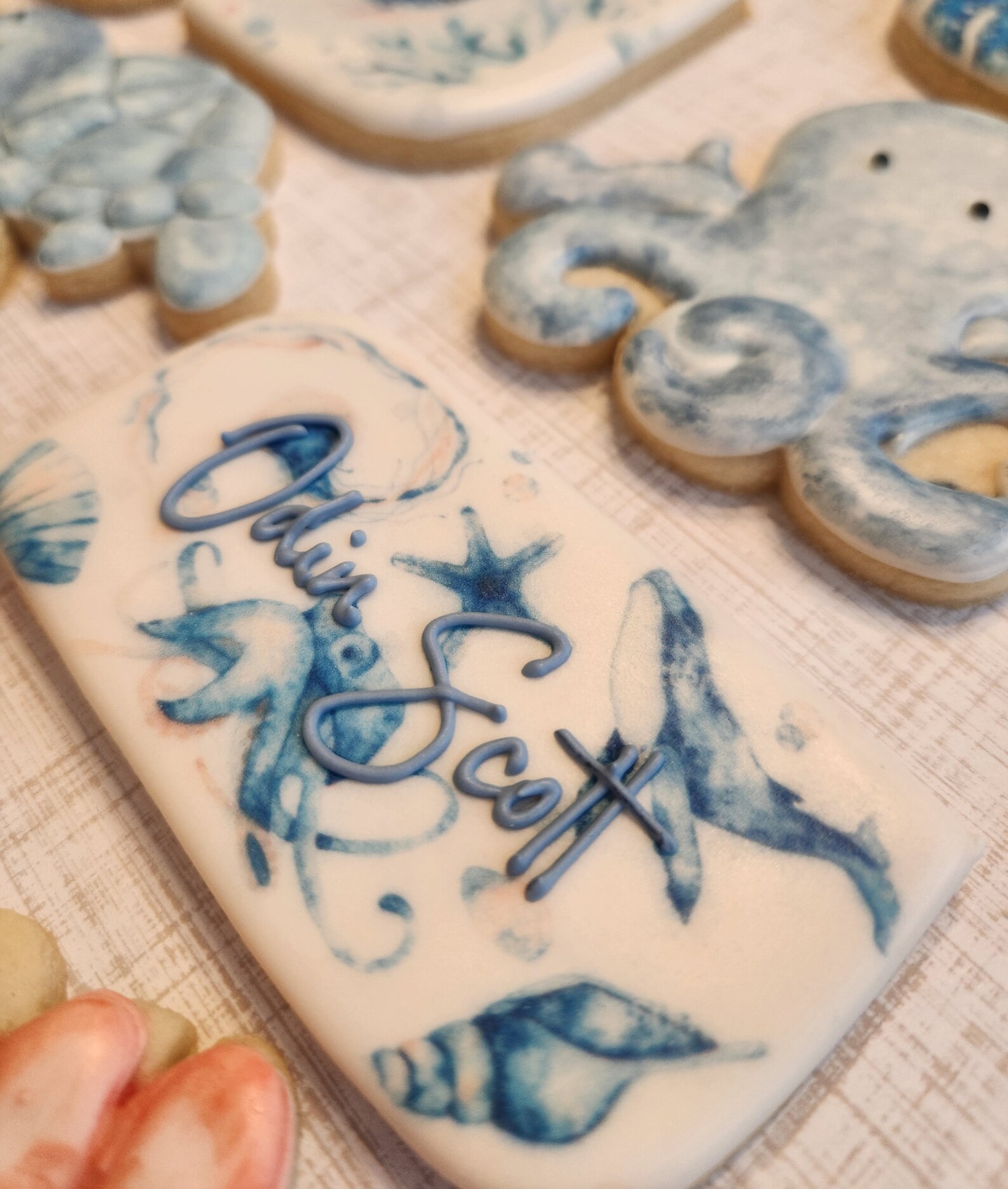 Under the Sea, Sealife, Marine Life, Sea Animals Cookie Set, Birthday ...
