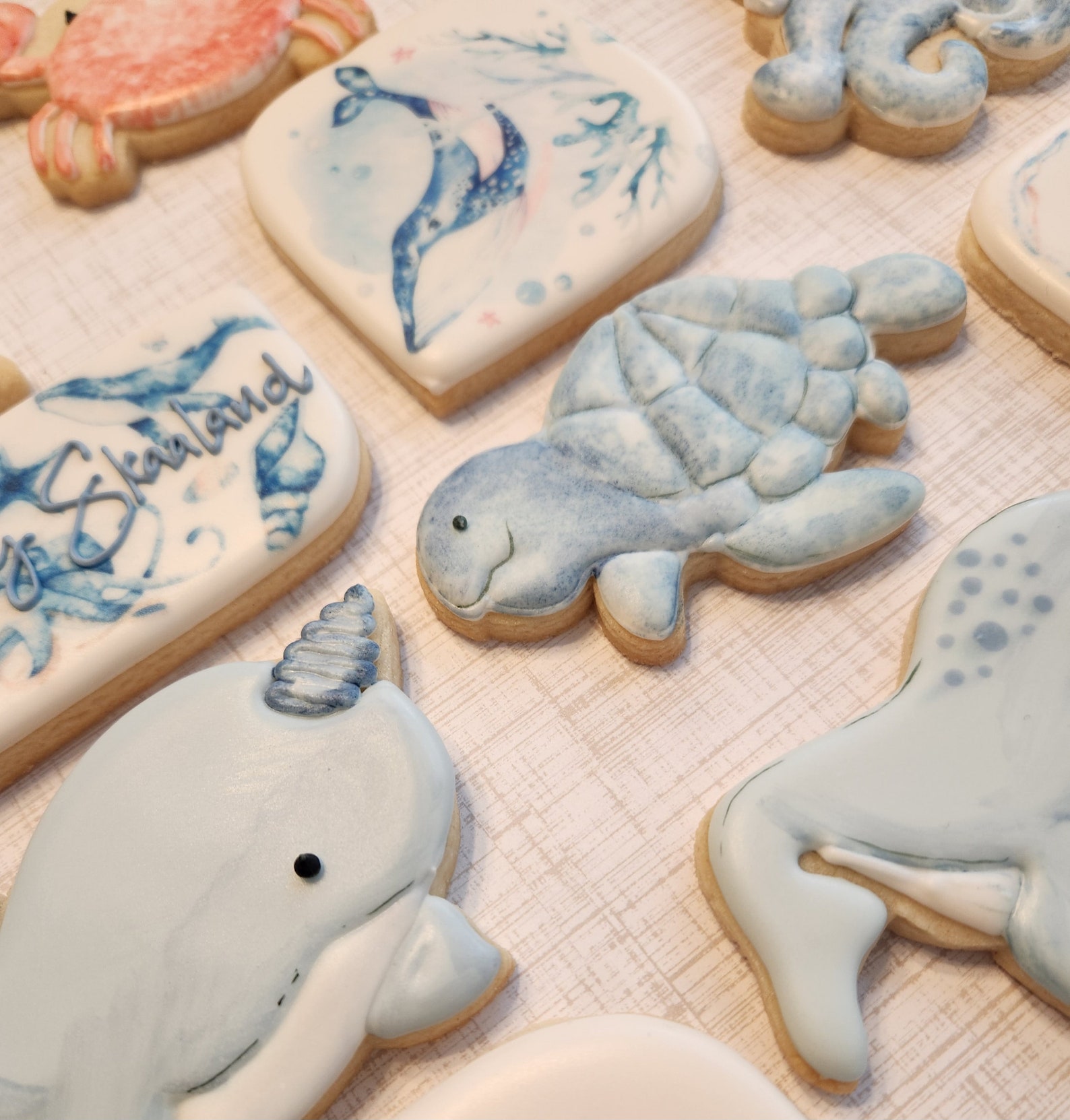 Under the Sea, Sealife, Marine Life, Sea Animals Cookie Set, Birthday ...