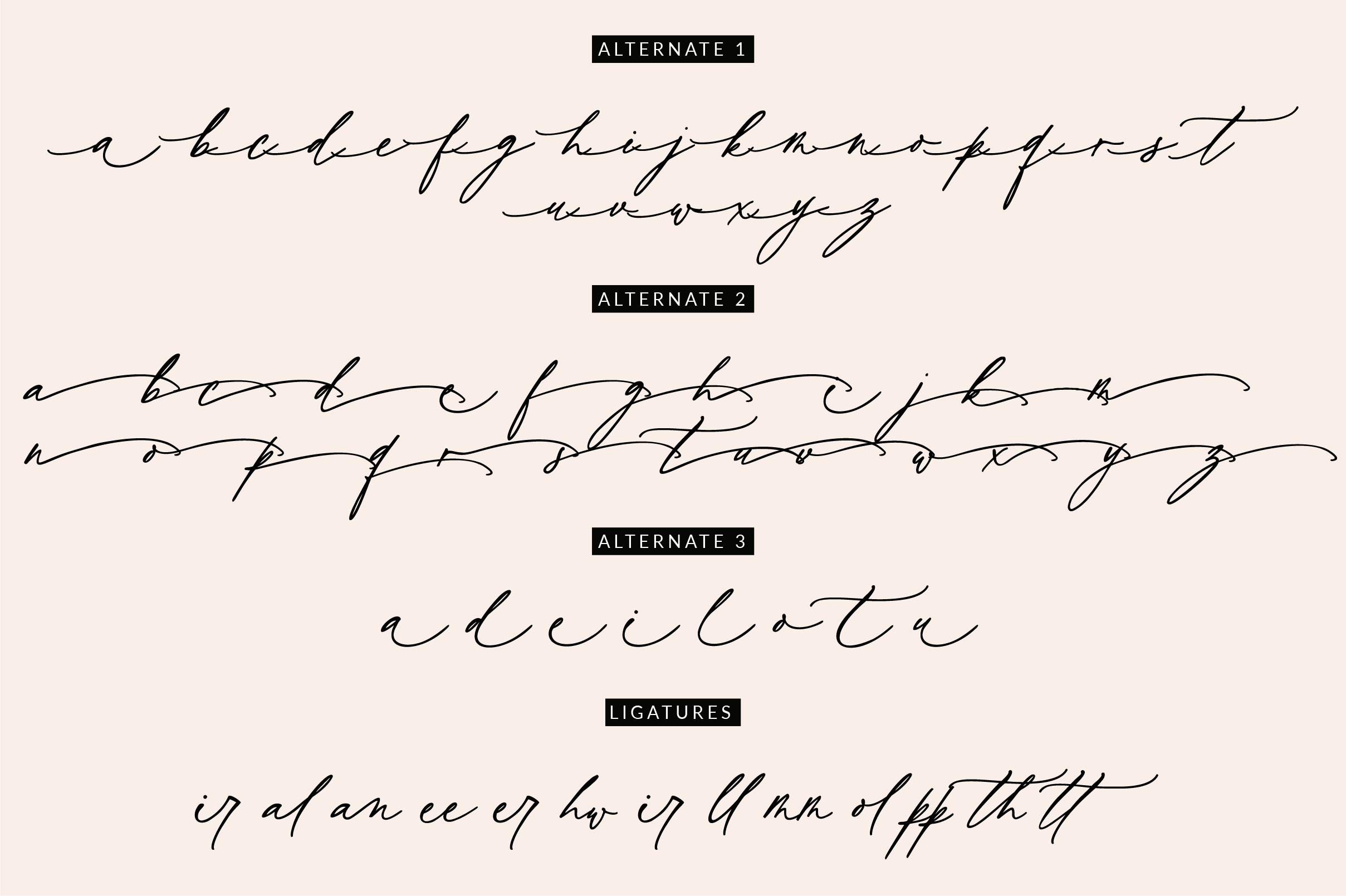 Luxury Script Font, Handwritten, Handwriting, Rustic, Script Font ...